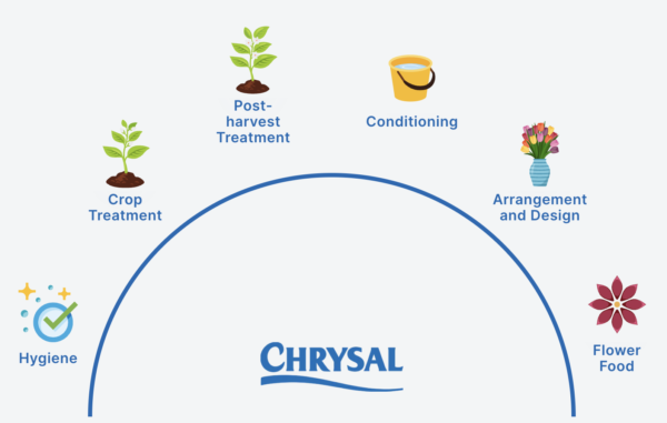 Chrysal Flower Food